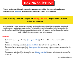 HAVING SAID THAT in a sentence | Examples, rules, and more..