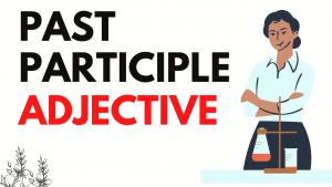 PAST PARTICIPLE ADJECTIVE: usages, positions, and examples